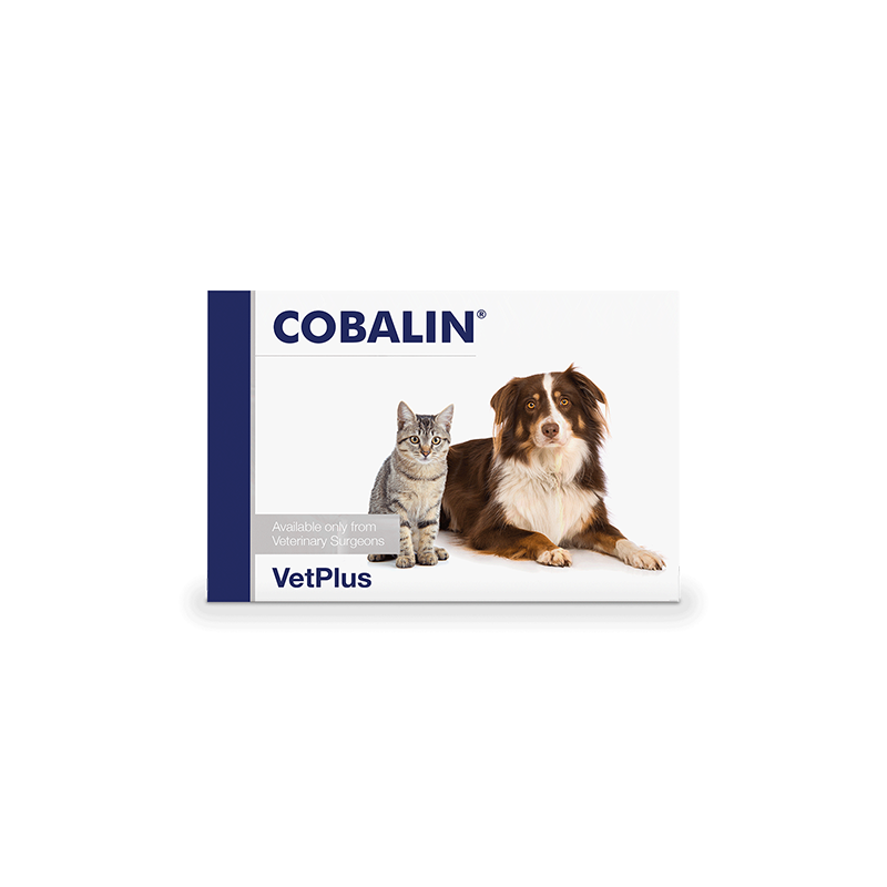COBALIN VetPlus Vitamines B12 et B9 pour chien et chat 60 capsules